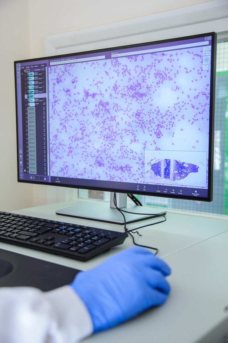 Finn Pathologists – The Veterinary Pathologists