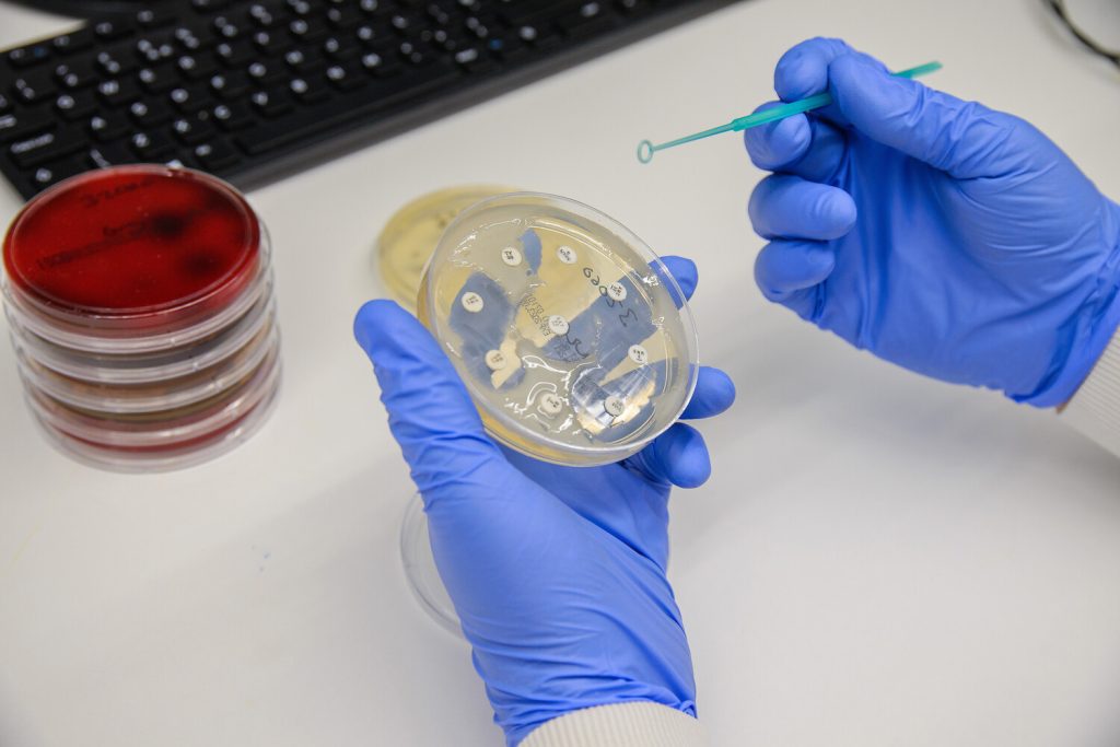 Finn Pathologists – The Veterinary Pathologists