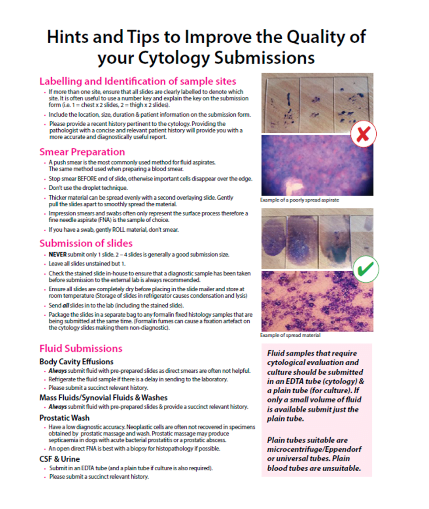 Cytology – Finn Pathologists