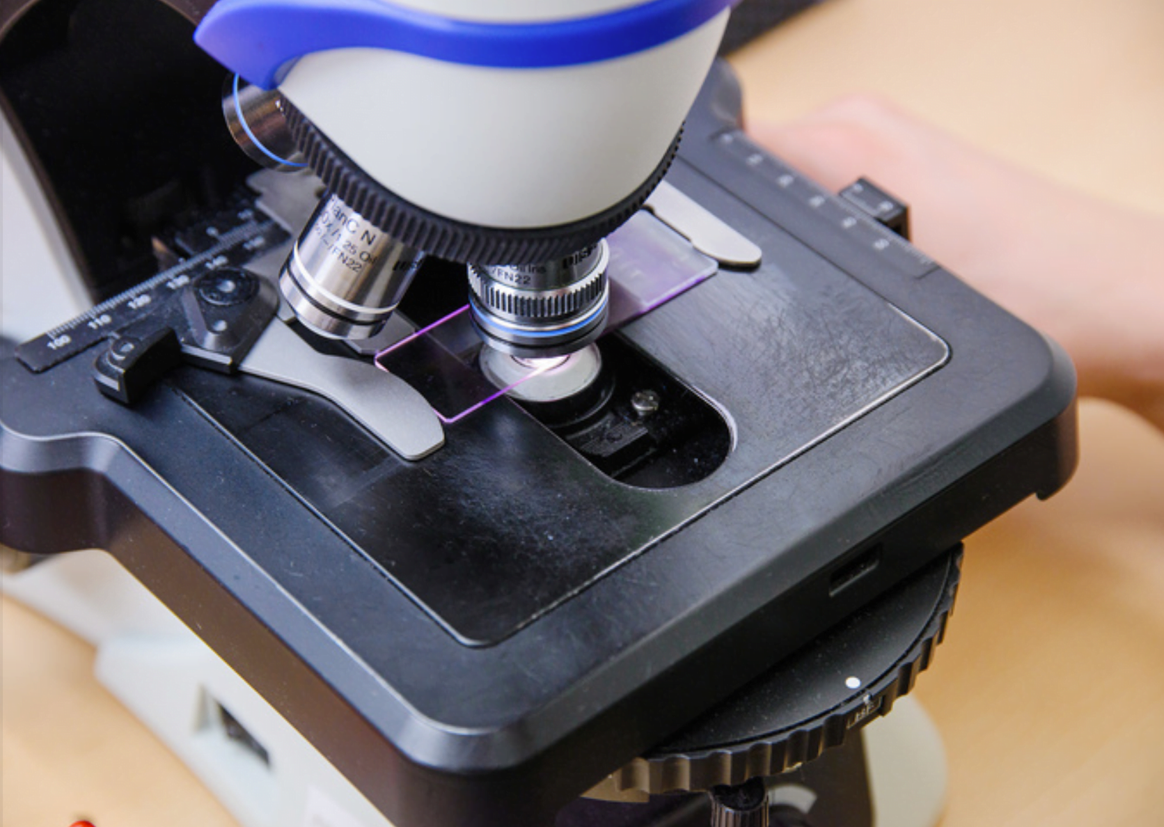 Our Team – Finn Pathologists