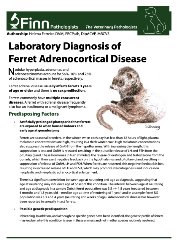 Downloads – Finn Pathologists