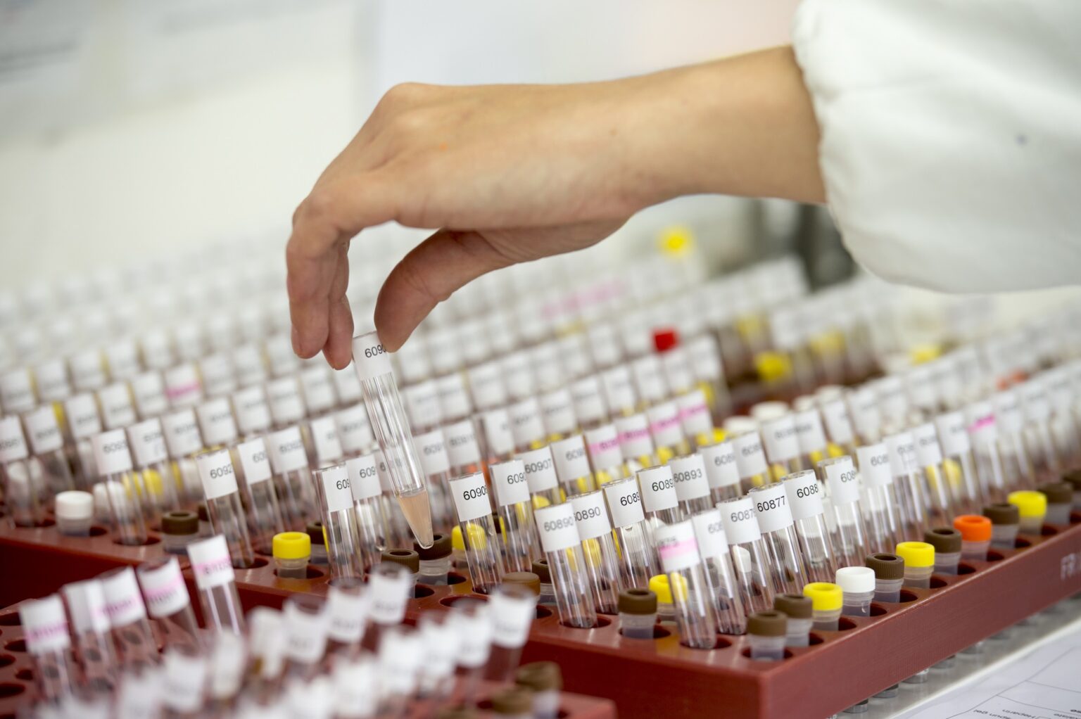 Finn Pathologists – The Veterinary Pathologists